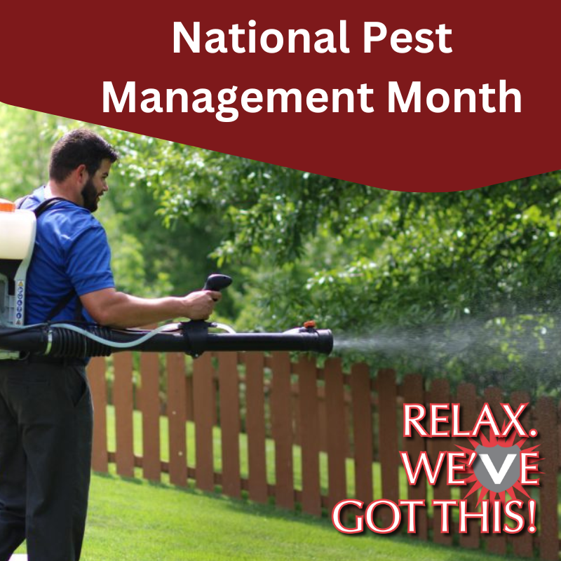 National Pest Management Month | Vogelsang Pest Management